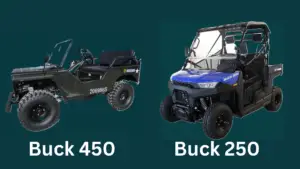 Massimo Buck 450 Reviews, Tests, Specs, Problems And Solutions